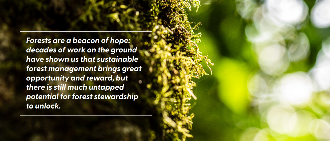 FSC unveils landmark publication: Forest Futures | Forest Stewardship Council UK